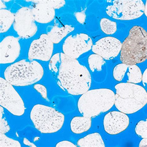 Grains Object Detection Dataset By A