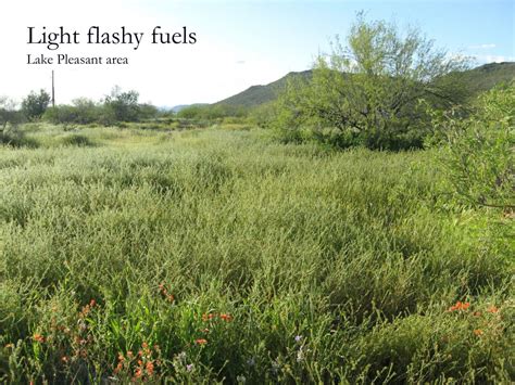 Ppt Central Arizona Brush Fire Preparedness Part 1 Powerpoint