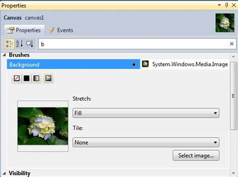 Fade Animation In Wpf Using Xaml