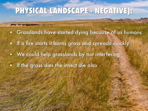 Grasslands By Lougheed Library 7