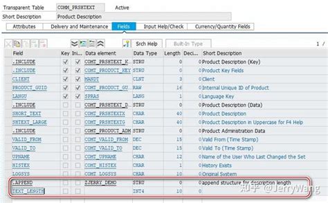 如何手动通过增强的方式，给 Sap Abap 数据库表增添新的字段 知乎