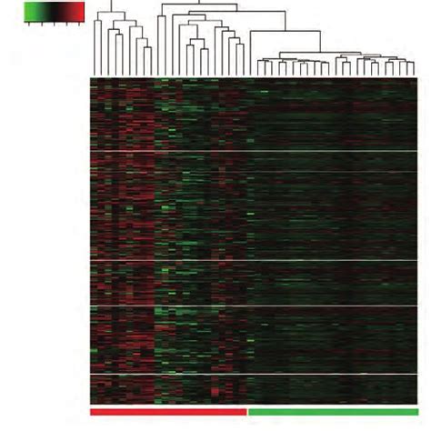 Heatmap Analysis Of Dna Methylation In Promoter Region Of Lincrna In