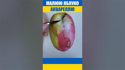 Як малювати яблуко аквареллю Youtube
