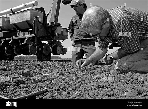 Two Farmers Check The Depth Of A Planted Seed As Planting Season Begins