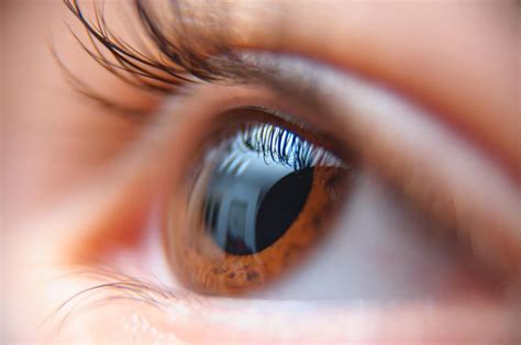 Early Detection A Crucial Factor In Managing Retinal Diseases