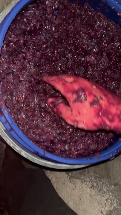 شراب هایده مهستی جوانی فان سرگرمی زندگی زندگیسالم جوانی غمگینم بهشت Youtube