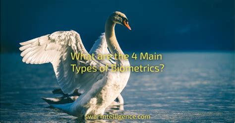 What Are The 4 Main Types Of Biometrics Swan Intelligence