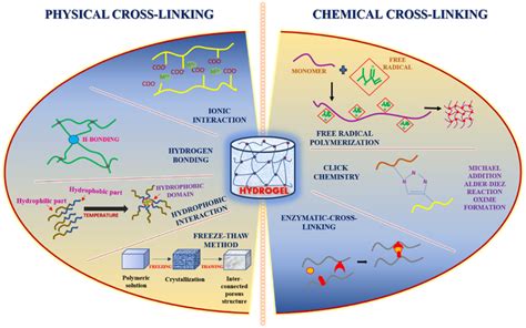 Various Strategies For The Synthesis Of Various Hydrogel Based Systems