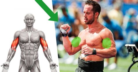 Best Exercises To Force Better Bicep Muscle Growth Boxrox