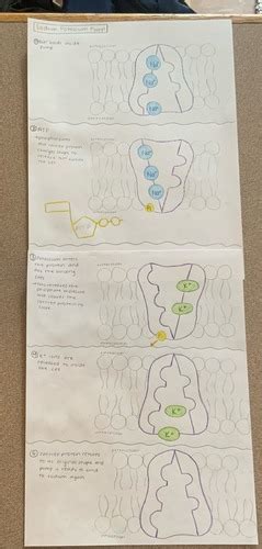 Unit 2 Exam Flashcards Quizlet