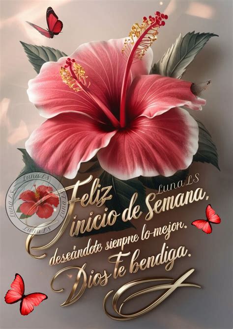 Feliz Inicio De Semana Buenos Dias Semana Buenos Días Feliz Semana