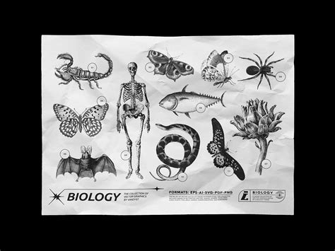 125 Vector Bitmap Assets Biology Behance