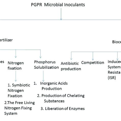 PDF Microbial Inoculants For Improving Crop Quality And Human Health In Africa