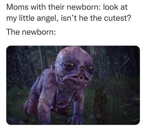 My Lil Bro R Dankmemes