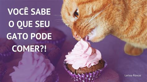 O que os gatos gostam de comer Descubra o que pode e o que não pode
