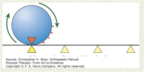 Peripheral Joint Mobilization Flashcards Quizlet