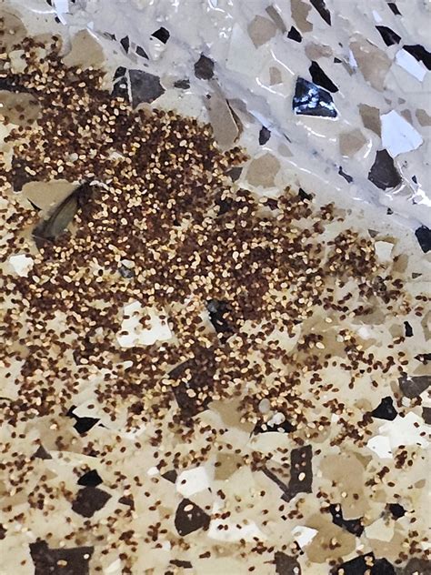 Do We Have A Termite Problem R Termites