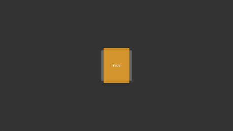 Scale Images Using Css At Donna Newman Blog