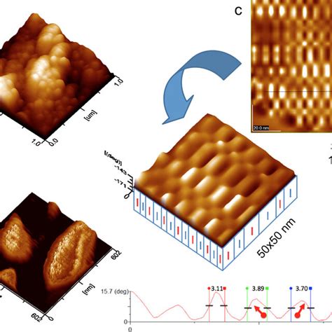 Magnetic Domains In Vp Mnps A Topography Of Fe3o4fe2o3 Magnetic