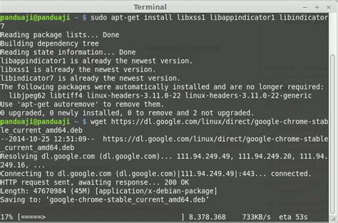 how to install chrome browser on ubuntu or linux mint using command