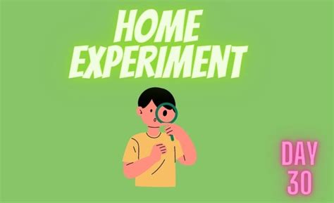 Nature Journaling A Home Experiment Challenge Day 30 Marley Peifer