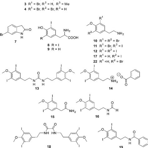 Schematic Diagram Of The Hyphenated Lc Icp Ms Esi Ms Technique Circa
