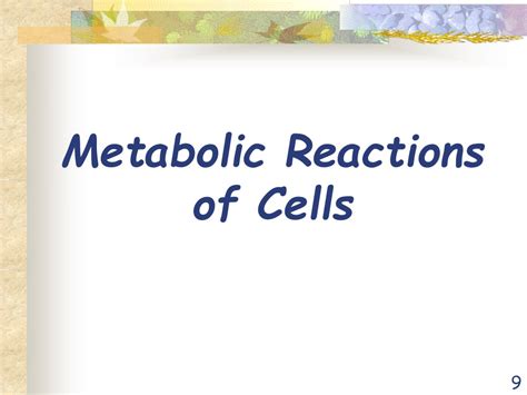 Ppt Bioenergetics Powerpoint Presentation Free Download Id9072015