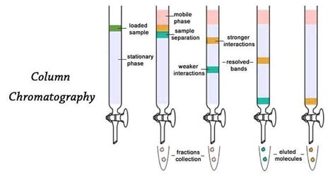 Differential Extraction Chromatography Overview Structure Properties And Uses