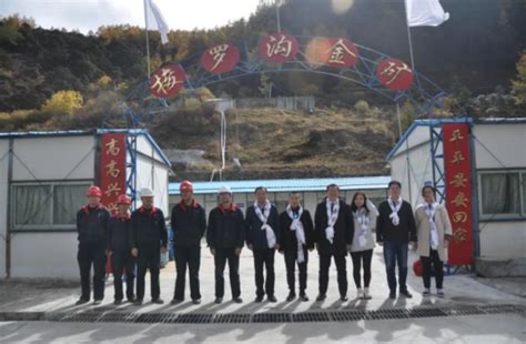 梭罗沟金矿矿区资源勘查项目可行性研究报告 能源矿产 可研报告案例 可研报告 思瀚产业研究院