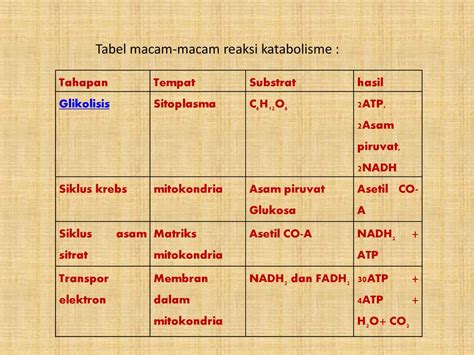 Perbedaan Glikolisis Dan Siklus Krebs Dengan Tabel Pe