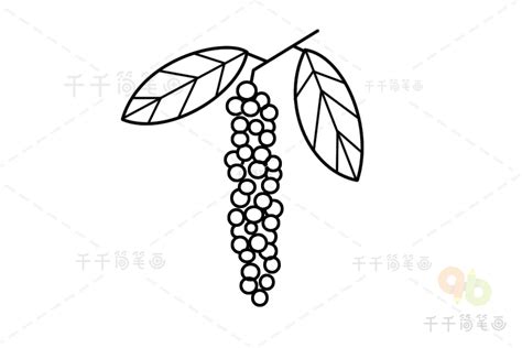 胡椒简笔画步骤图 绿色植物简笔画