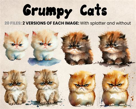 Grumpy Kitten No
