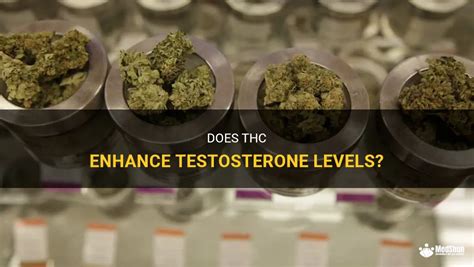 Does Thc Enhance Testosterone Levels Medshun