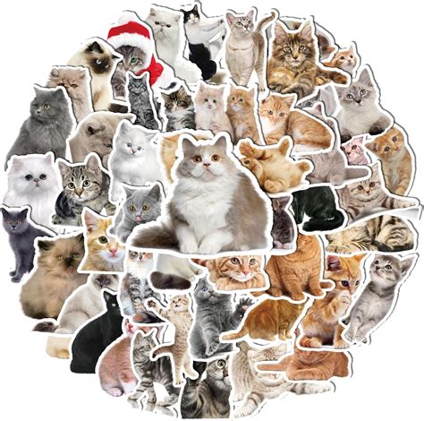 100 Pcs Cute Cat Stickers Aesthetic Cat Waterproof Vinyl