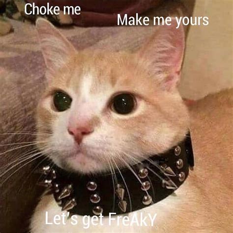 Let S Get Freaky Faxo
