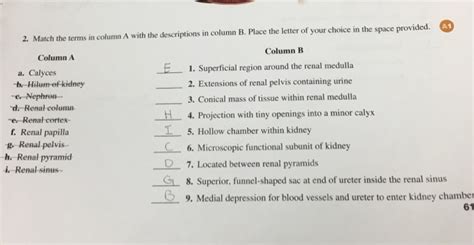 Solved 2 Match The Terms In Column A With The Descriptions