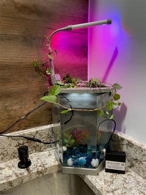 Wireless Temperature Sensor M Series With External Sensor Jemrf