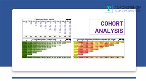Cohort Analysis là gì Cách phân tích Cohort bằng Google Analytics