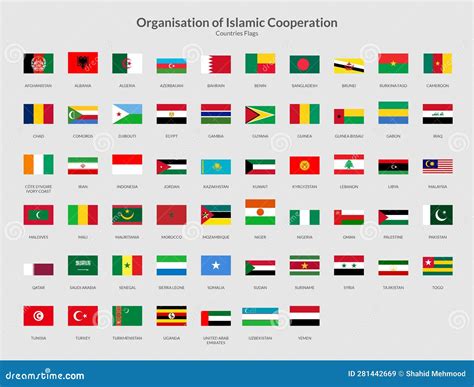 Oic Countries Rectangle Flag Icon Stock Vector Illustration Of