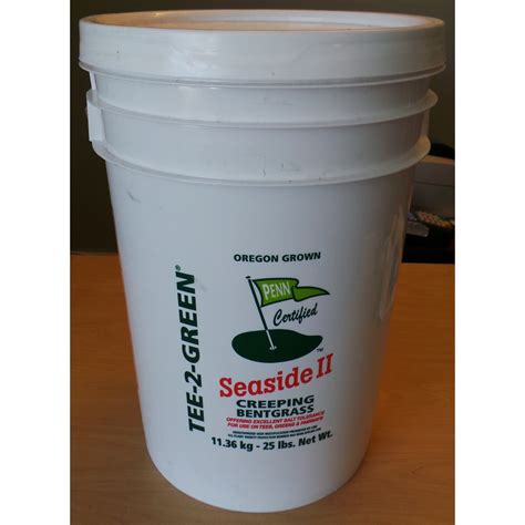 Bentgrass Seed Seed World