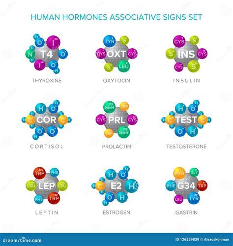 Human Hormones Vector Signs With Associative Molecular Structures Set