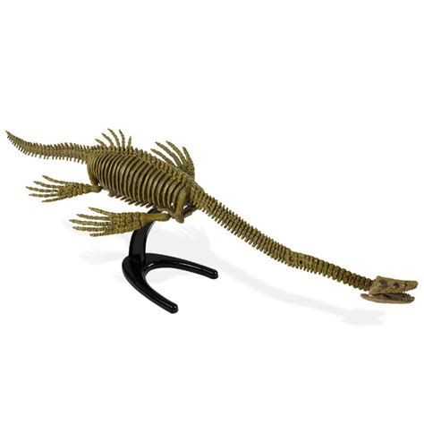 Geoworld Dino Kazı Seti Elasmosaurus Loco Poco Oyuncak