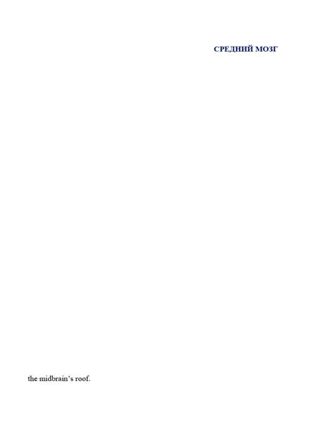 Midbrain Diencephalon 2021 Pdf Brainstem Striatum