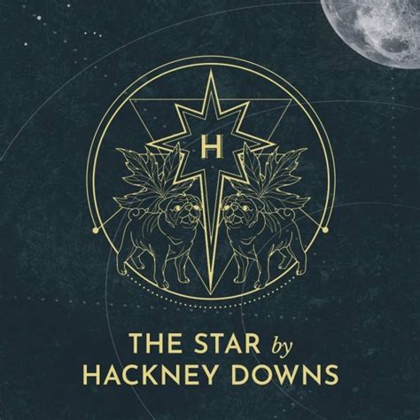 The Star By Hackney Downs Designmynight