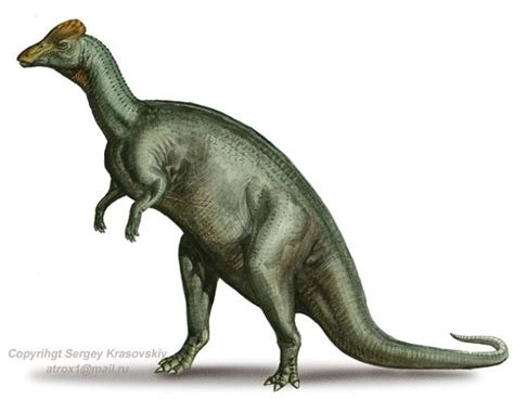 Hypacrosaurus New Ideas By Matt Weaver Wiki Fandom