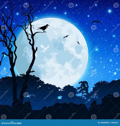 Paisagem Da Floresta Com Lua Ilustração Do Vetor Ilustração De Lunar
