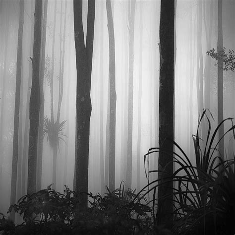 Stripes By Hengki Koentjoro Art Work Shadow Art Artwork Mists