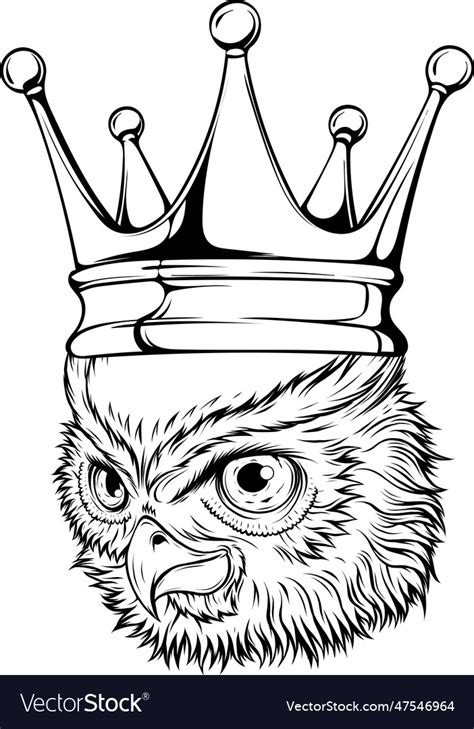 Outline Owl Head Design Royalty Free Vector Image