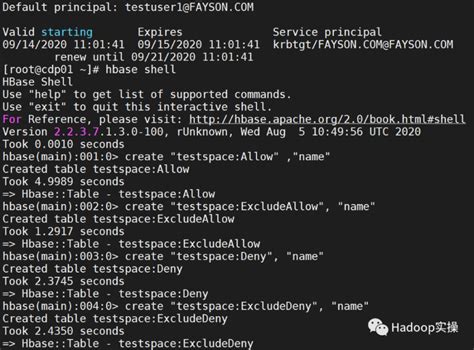 Hbase之accessdeniedexception Insufficient Permissions For User Root问题