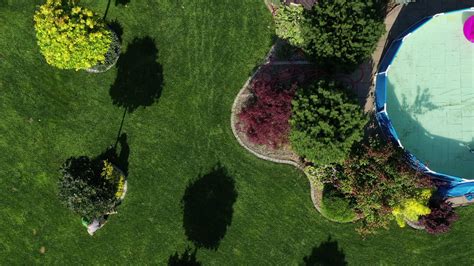 Man Removing Cut Grass From Flowerbeds 24347345 Stock Video At Vecteezy